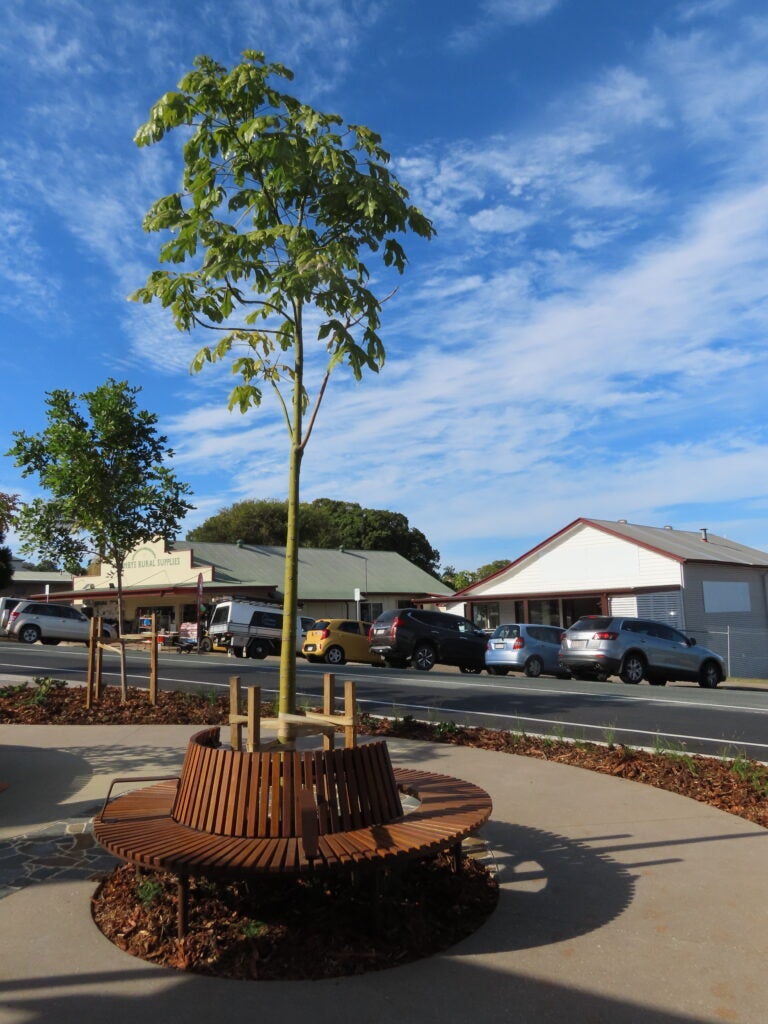 How Historic Trail Shaped Woombye Streetscape | OurSC