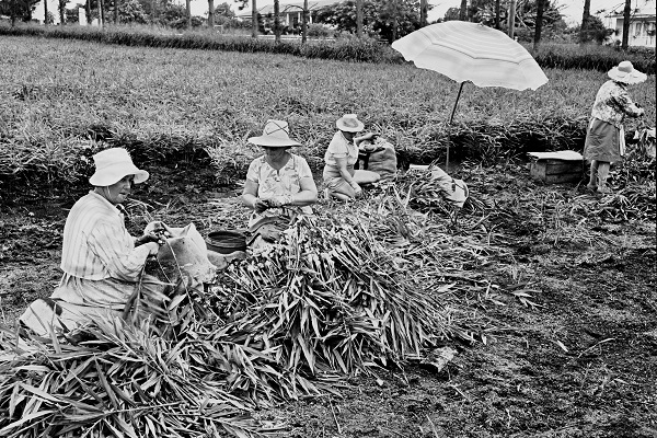 Women Heritage Story