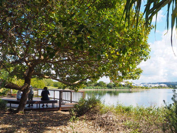 Brightwater Community Lake Park