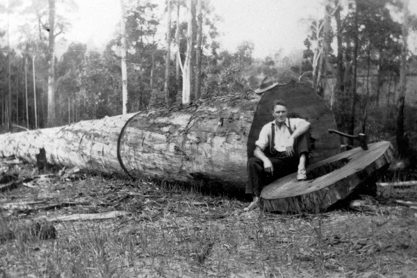 Backward Glance – Timber getters and sawmills