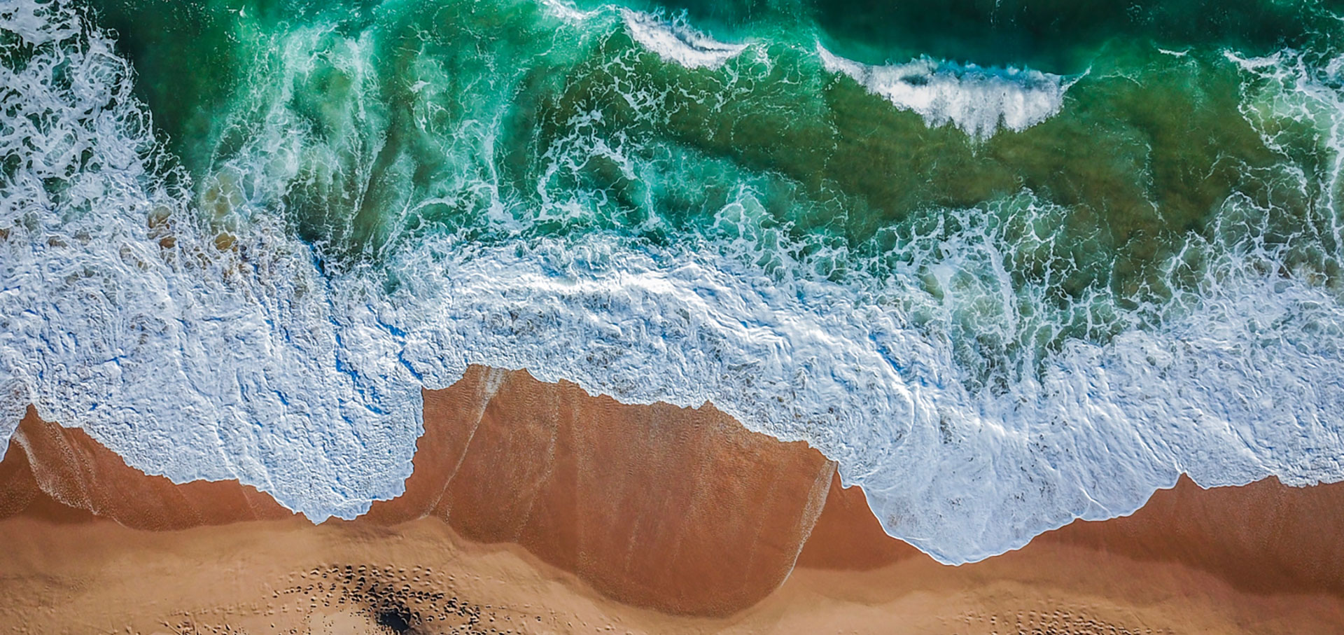 Environment and liveability Strategy | Sunshine Coast Council ...