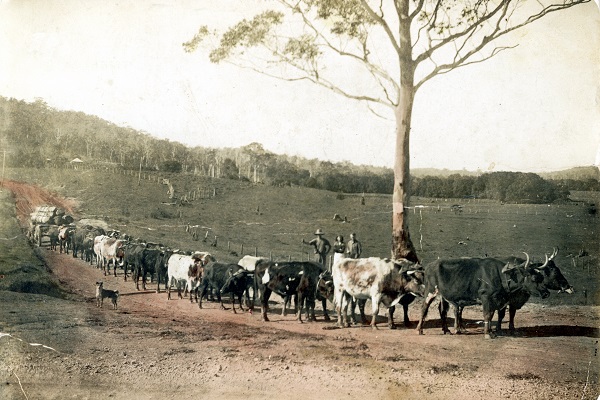 Backward Glance – Timber getters and sawmills