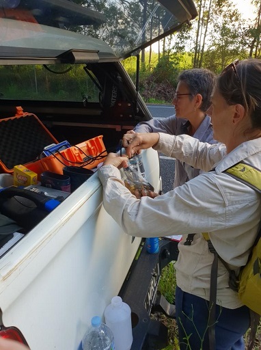 Bushfire recovery project