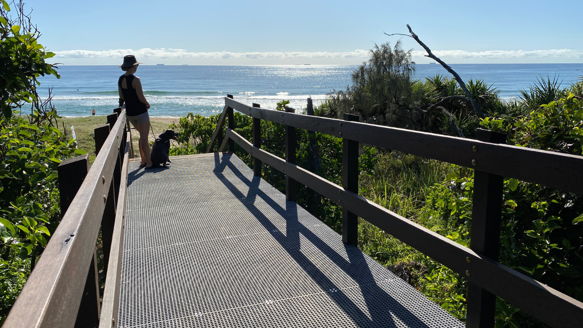 How Beach Access Improvements Protect Environment | OurSC
