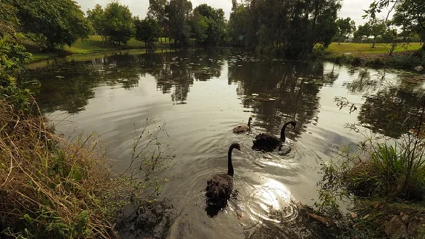 Edgewater Lakes Park