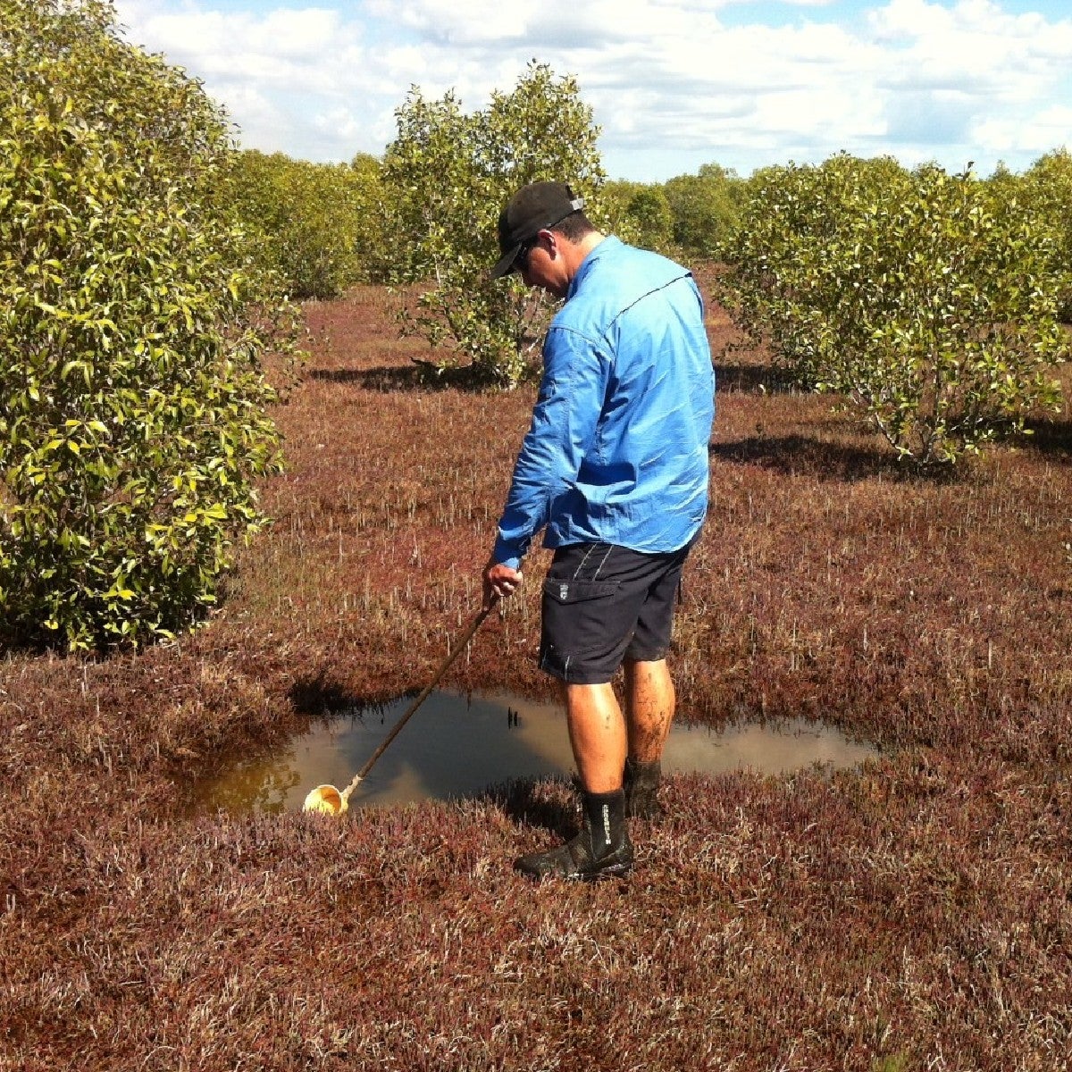 Mosquito Monitoring And Control Program | OurSC