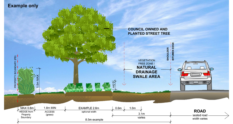Planting a garden on a road verge (nature strip)