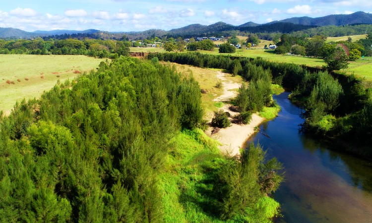 3 fish of the upper Stanley River catchment