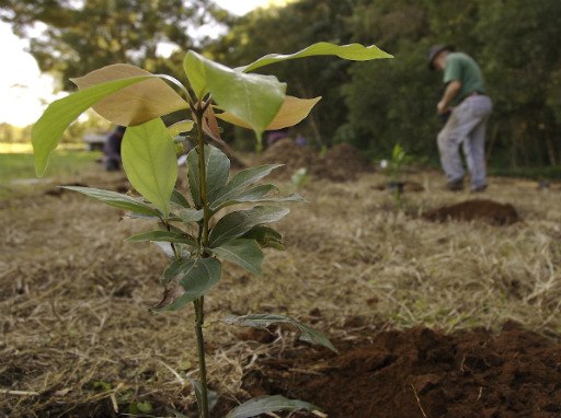 Catchment care group celebrates 20-year milestone