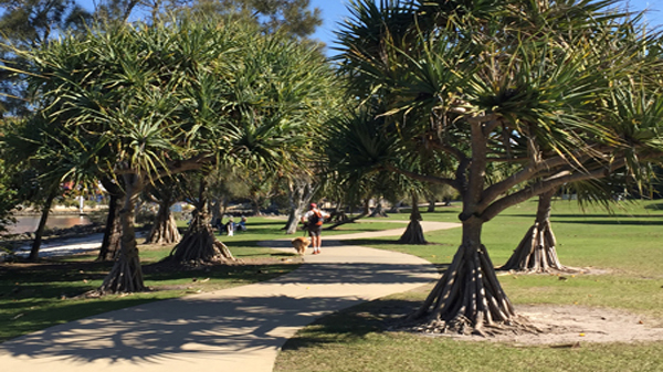 Caloundra - beaches and foreshores