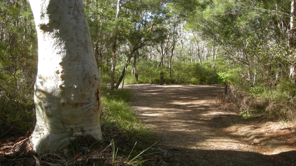 Ben Bennett Bushland Park