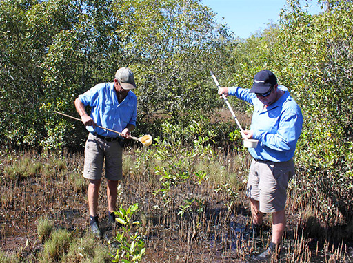 Waterway health monitoring