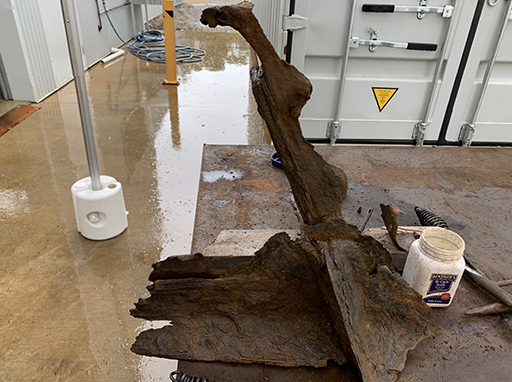 SS Dicky Restoration Project