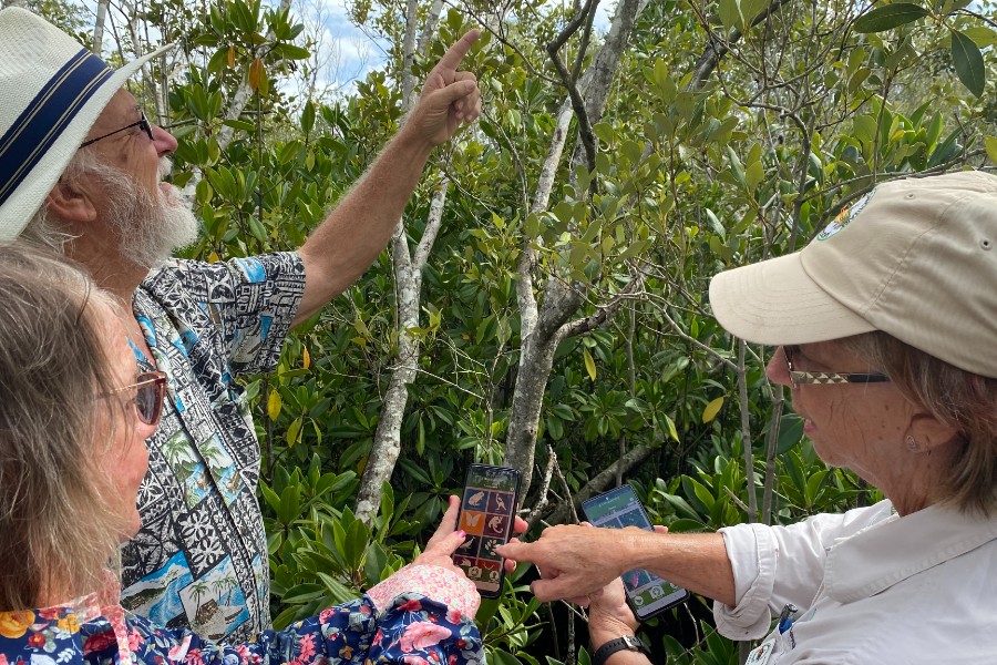 Environment Levy projects and programs