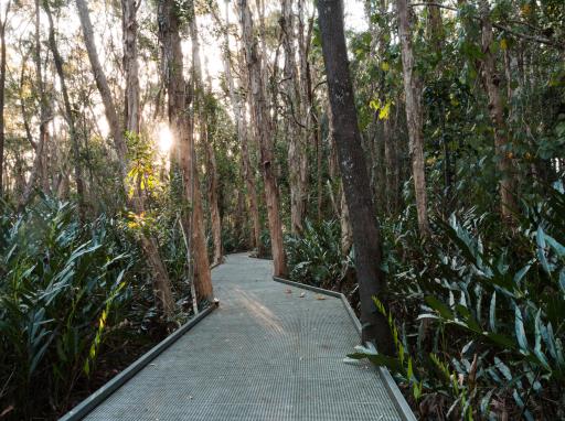 Maroochy Wetlands Sanctuary