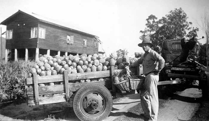 Historians tell all: learn about region’s ‘hidden history’