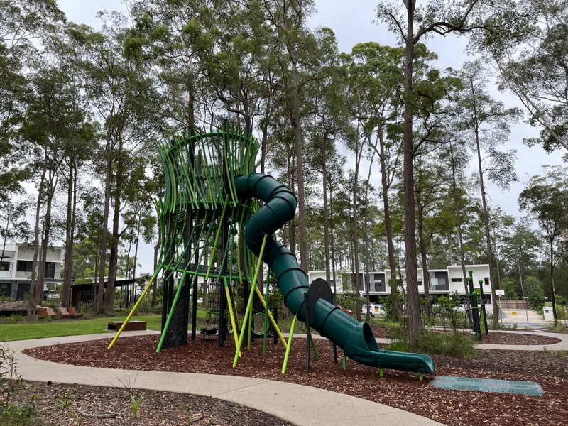 Sippy Downs Forest Park