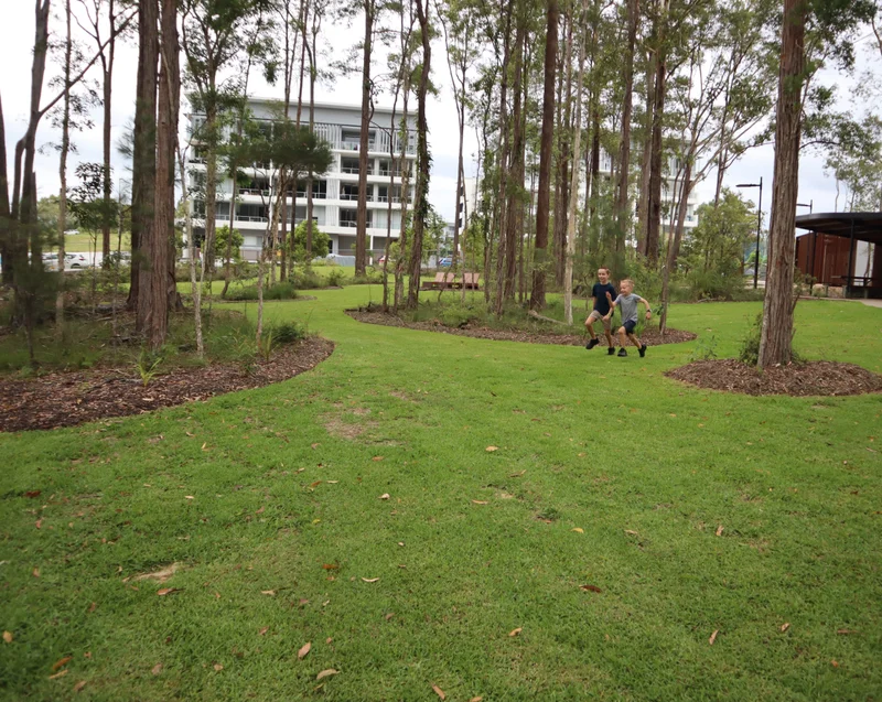 Sippy Downs Forest Park