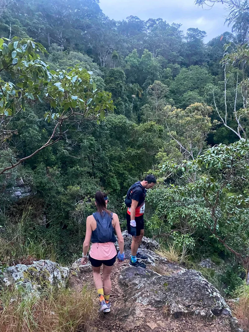 Mapleton National Park. Piccabeen Circuit. 7.6km