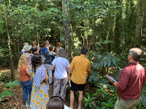 Nature journaling - what will you discover?