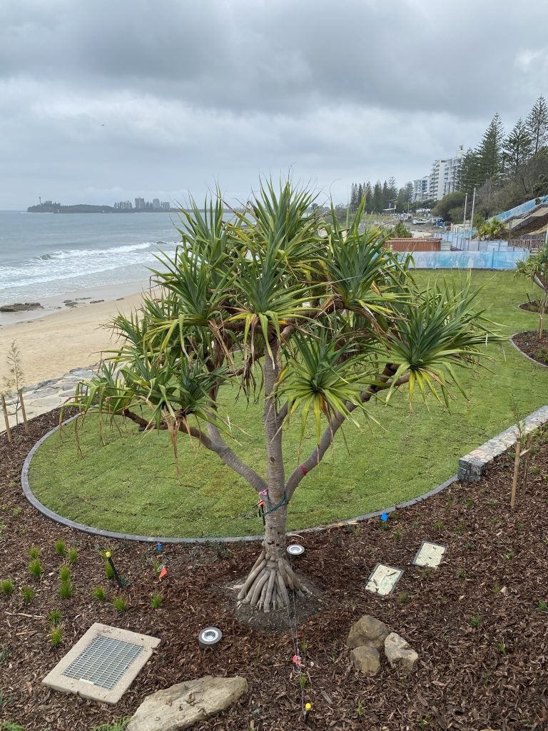 Lets Stroll Down The Boardwalk In Mooloolaba | OurSC