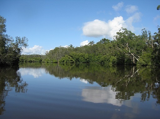 Know your local creek and catchment: Maroochy River