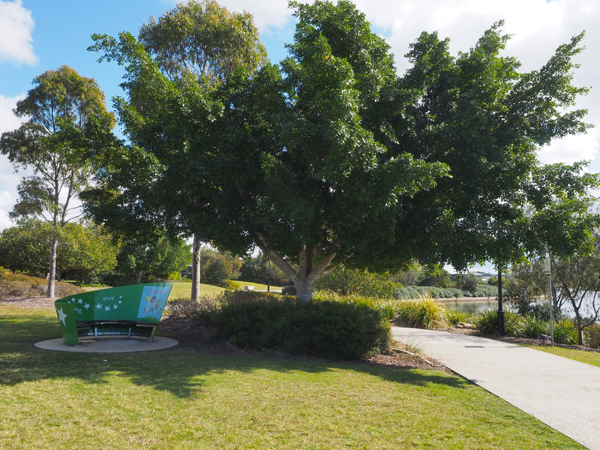 Brightwater Community Lake Park