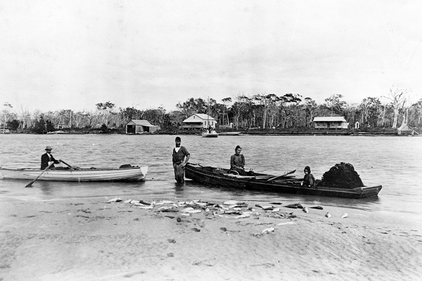 Backward Glance – The meandering history of Maroochy River