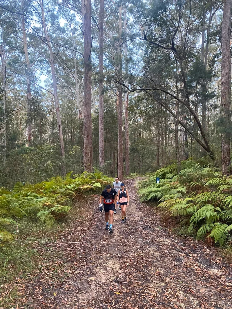 Mapleton National Park. Piccabeen Circuit. 7.6km