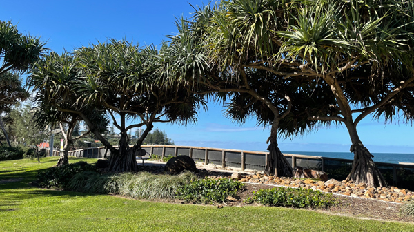 Kings Beach Park
