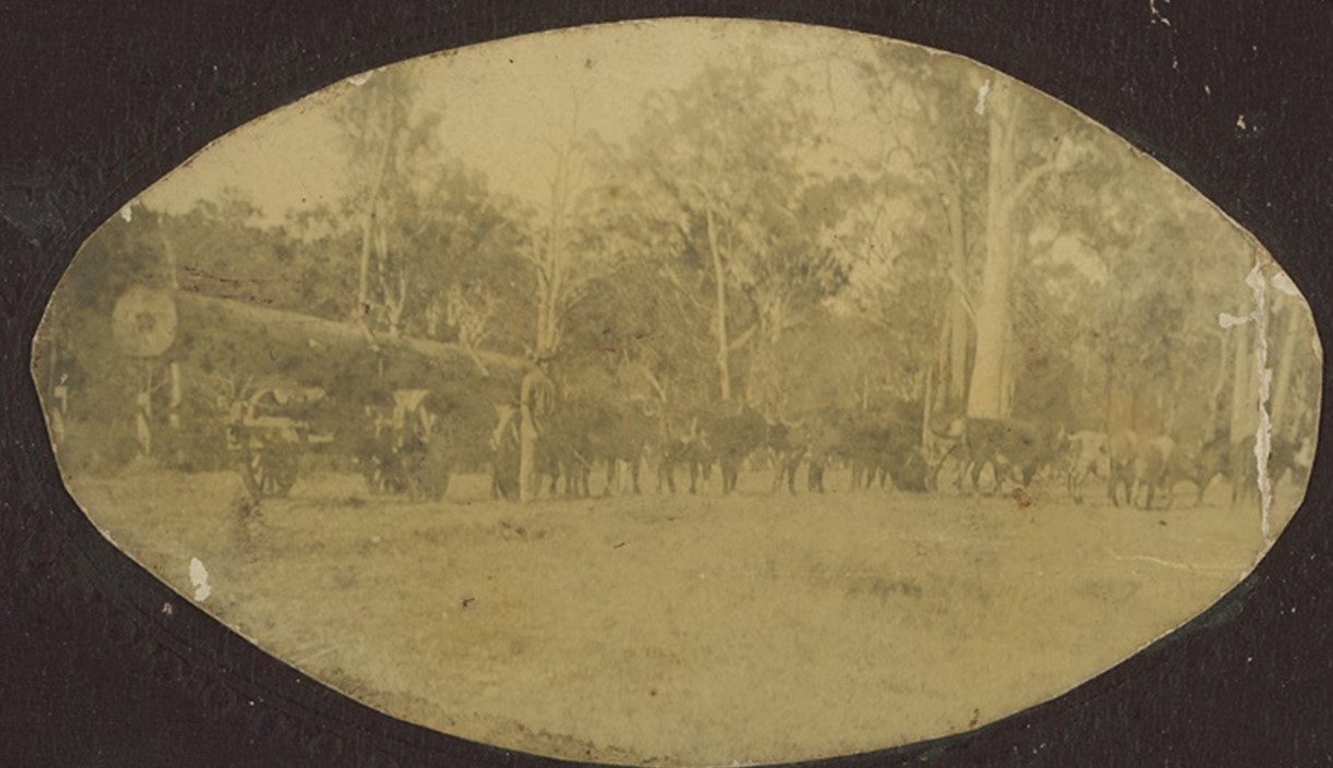 Connections with First Nations people