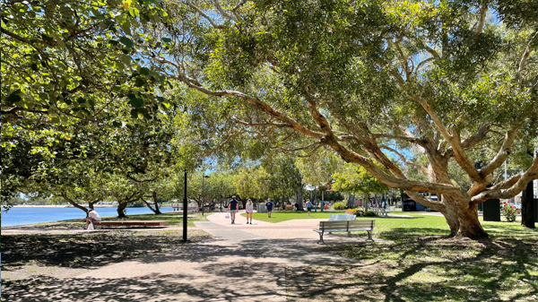 Cotton Tree Park (Maroochydore Rotary Park)