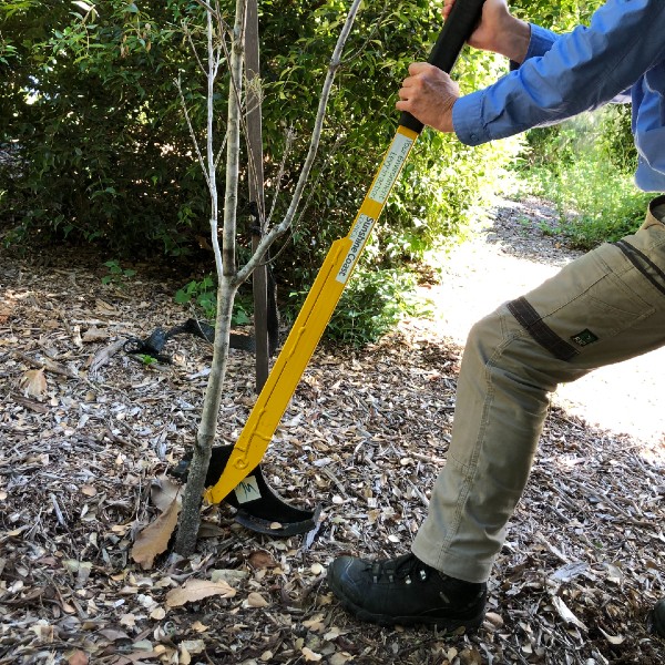 Invasive plant hire equipment