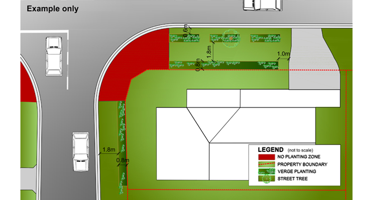 Planting a garden on a road verge (nature strip)