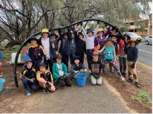Kawana cubs and scouts caring for Buddina