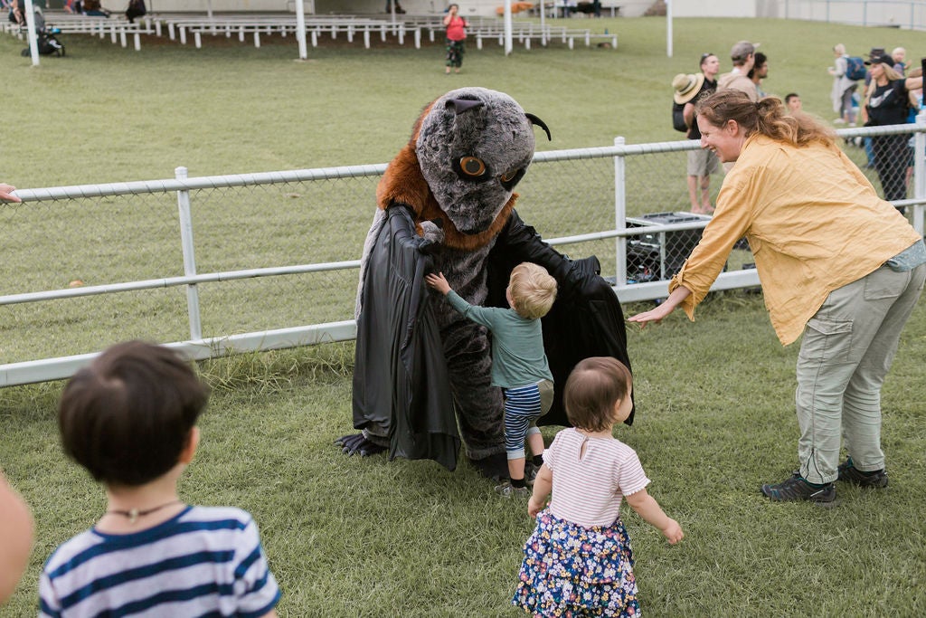 Go Batty At Bat Night In Maleny | OurSC