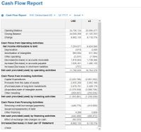 Cash Flow Statement | Anaplan Support