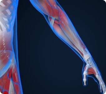 OrthoPedia: Customized Surgical Education