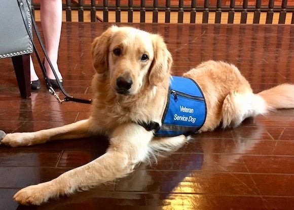 BlueModus Donates to Southeastern Guide Dogs