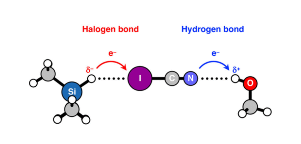 “Hydridic hydrogen bonds” are not hydrogen bonds - Vrije Universiteit ...