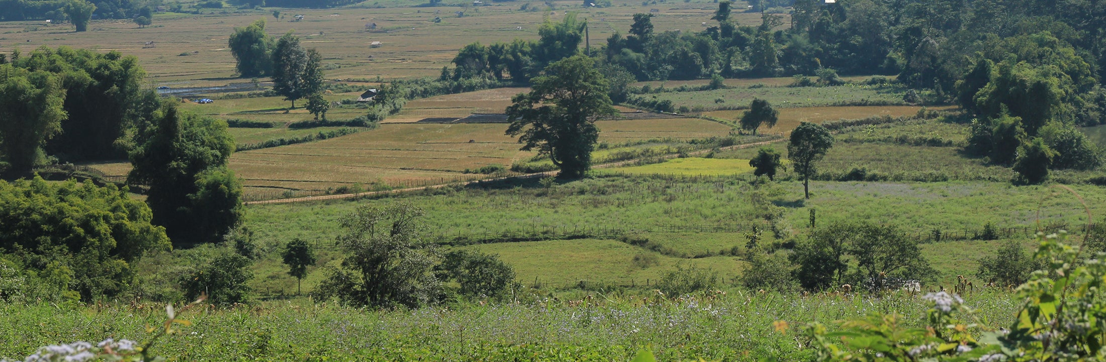 Research Environmental Geography - Vrije Universiteit Amsterdam