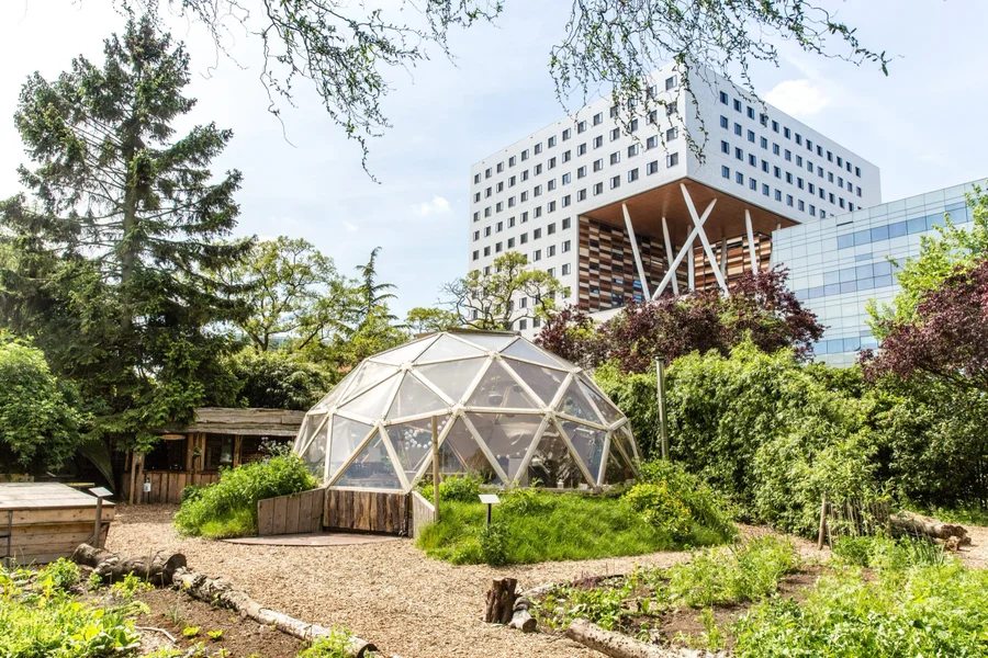 Active8 Planet - Vrije Universiteit Amsterdam