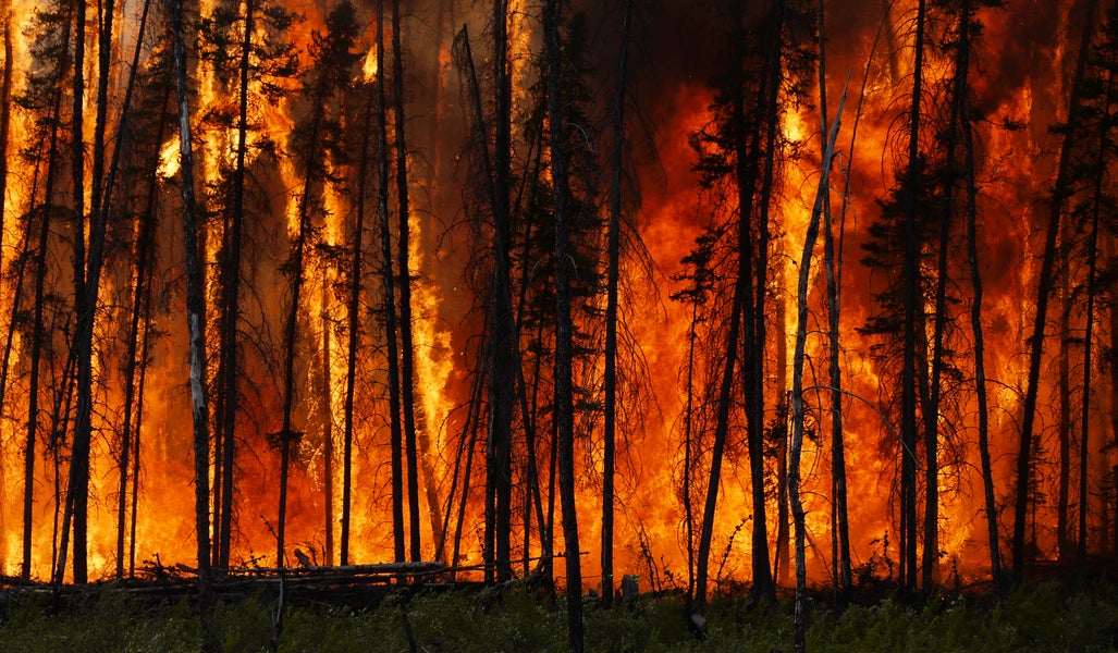 Fine particles of boreal forest fires amplify climate change - Vrije ...