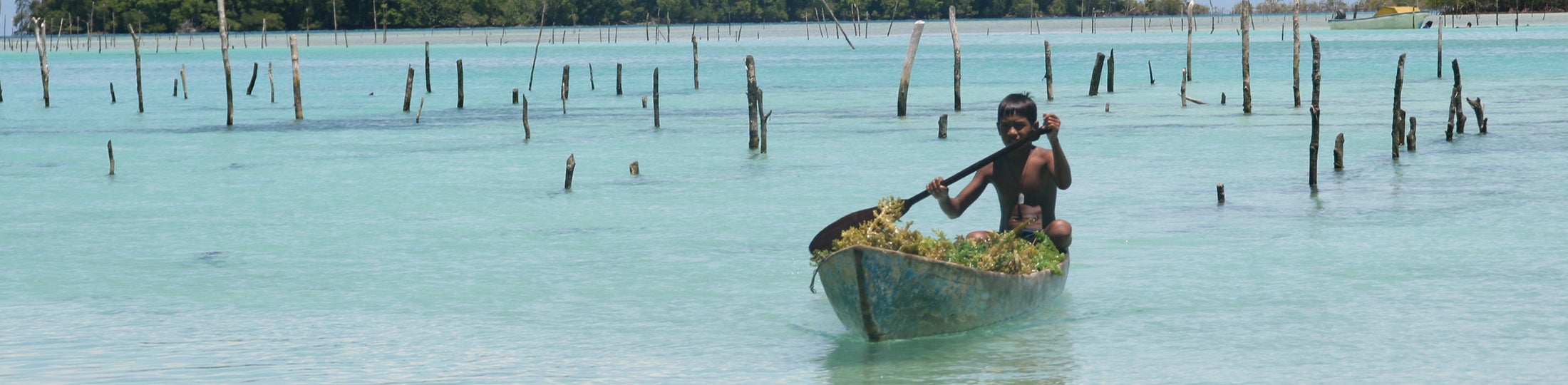 Environmental Economics (EE) - Vrije Universiteit Amsterdam