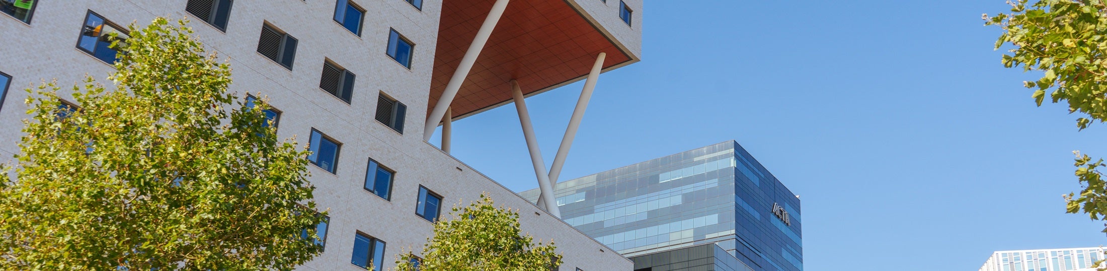 VU Knowledge Hub for Strategy & Innovation: For Companies - Vrije ...