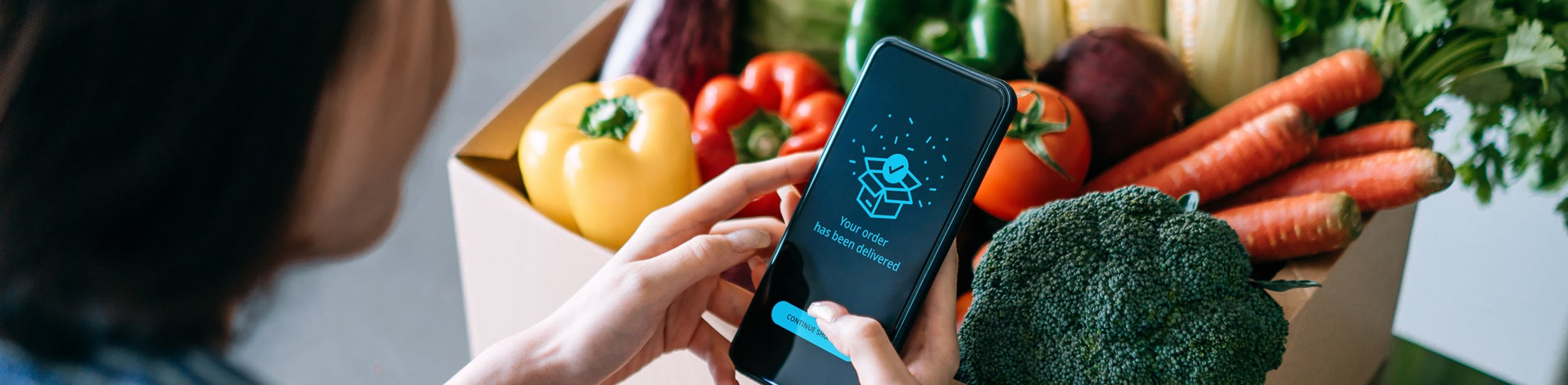 Master's Information Sciences - Vrije Universiteit Amsterdam