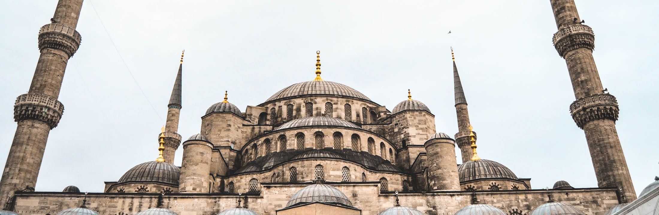 Postacademische Islamitische Ambtsopleiding VU Expertisecentrum voor ...