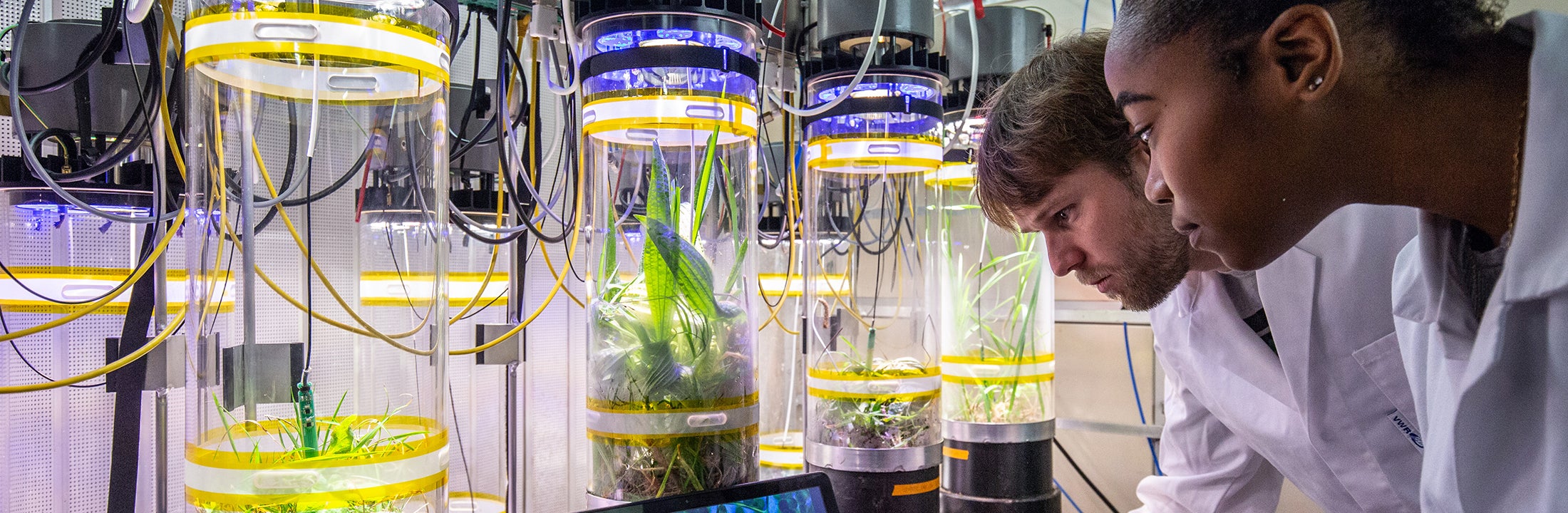 Faculty of Science - Vrije Universiteit Amsterdam