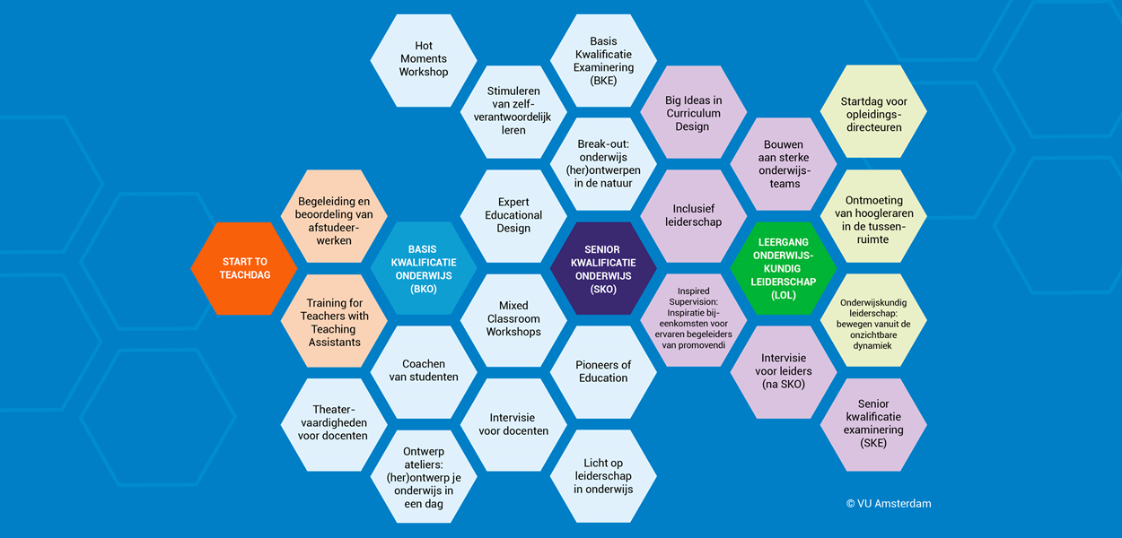 Een ontwikkelpad voor docenten in het hoger onderwijs - Vrije ...
