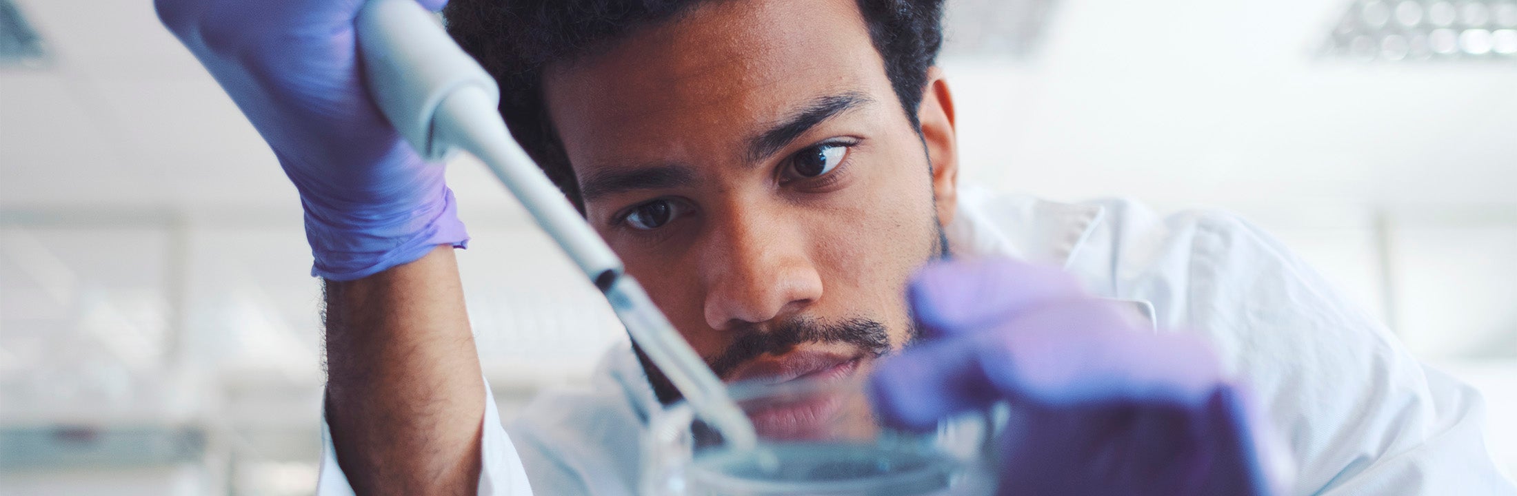 Bachelor's Biomedical Sciences - Vrije Universiteit Amsterdam